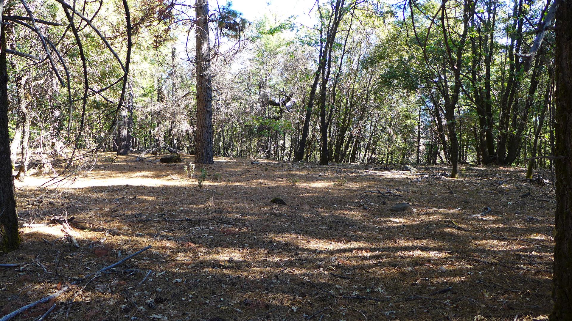 Shasta County Land For Sale, 59 Acres Donkey Mine Road, Oak Run, CA ...